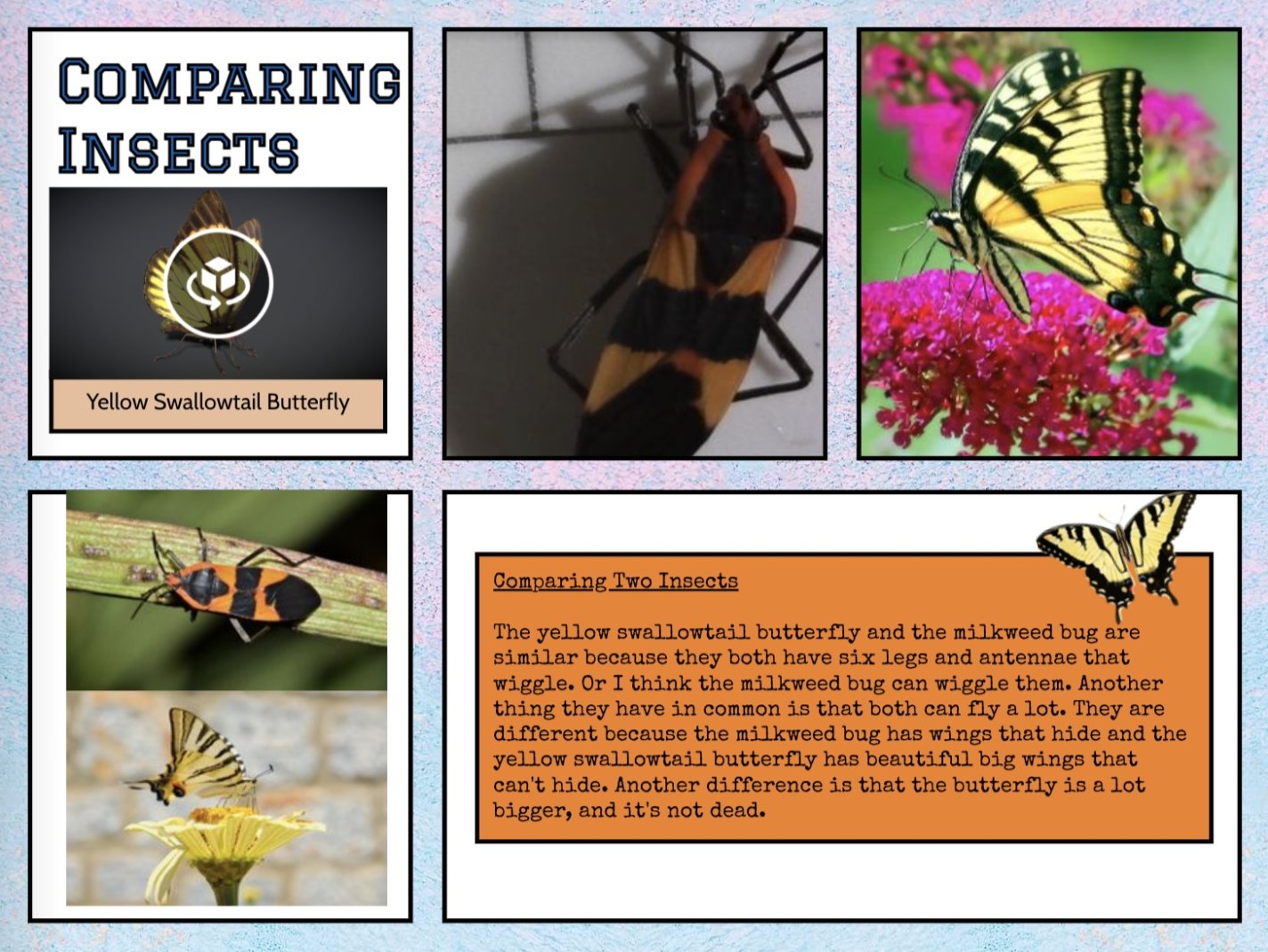 Reimagining Science Lab Notebooks - Book Creator app