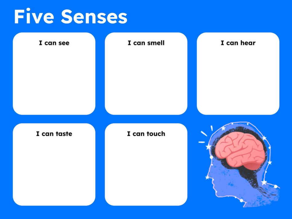 Graphic organizers and student activities from Book Creator