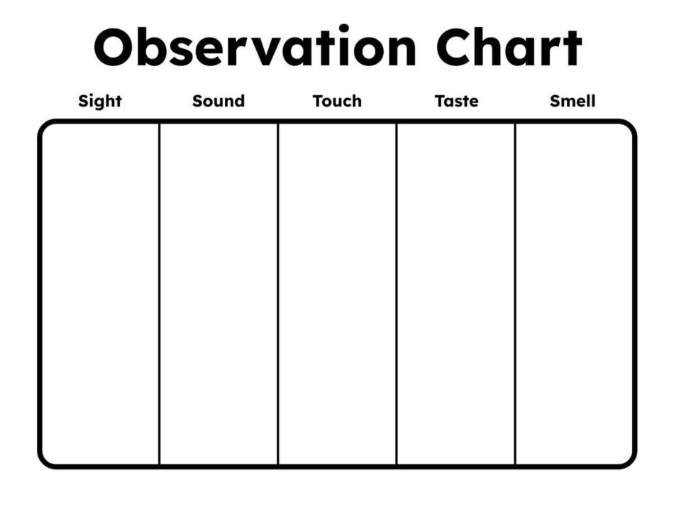 Graphic organizers and student activities from Book Creator